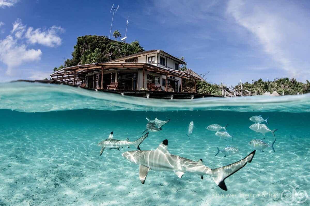 8 Top World Class Diving Resort for You to Enjoy in Indonesia ...